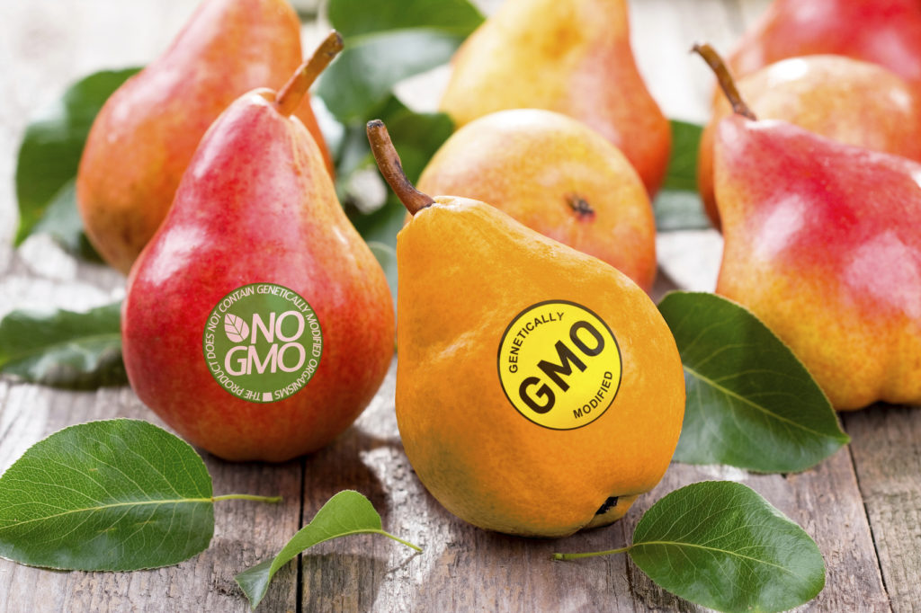 EU court rules GMO laws apply to gene-edited plants - Expert Reaction ...