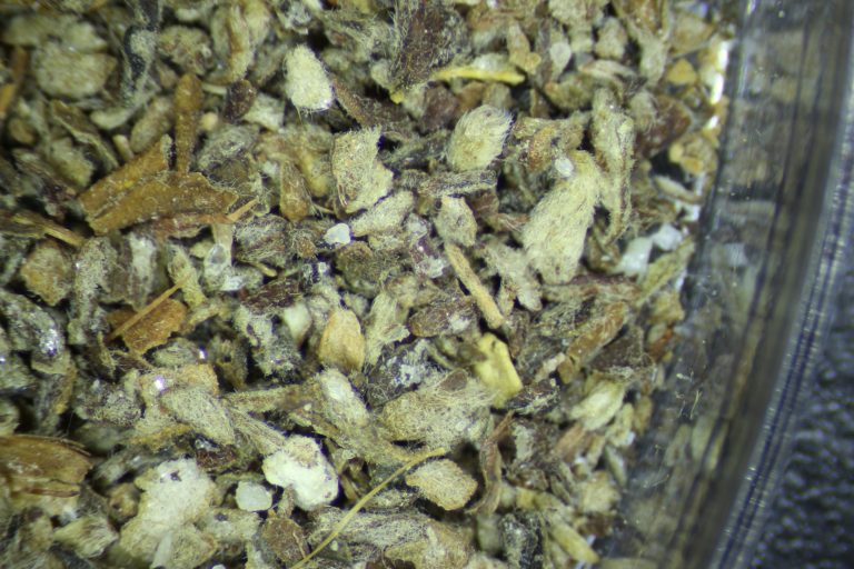 What is AMB-FUBINACA? - Expert Q&A - Science Media Centre