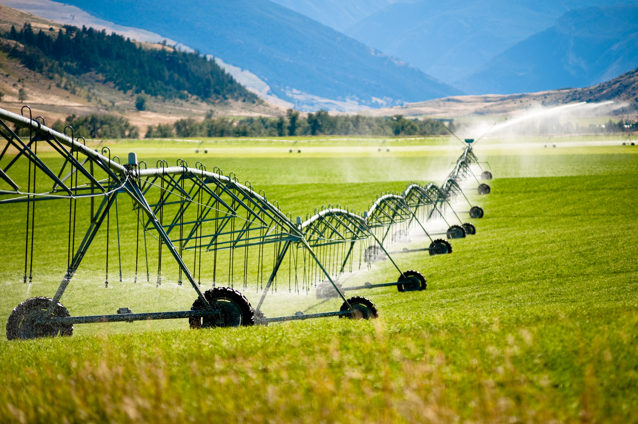 Irrigation efficiency not so efficient - Expert Reaction - Science ...
