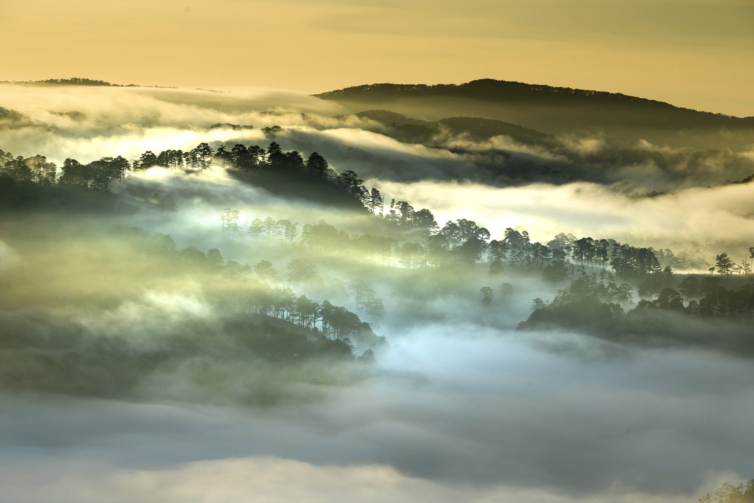 Environmental disruption could cause more pandemics - Expert Reaction ...