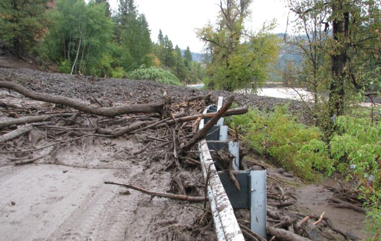 Forestry slash to be reviewed after repeated flood destruction - Expert ...
