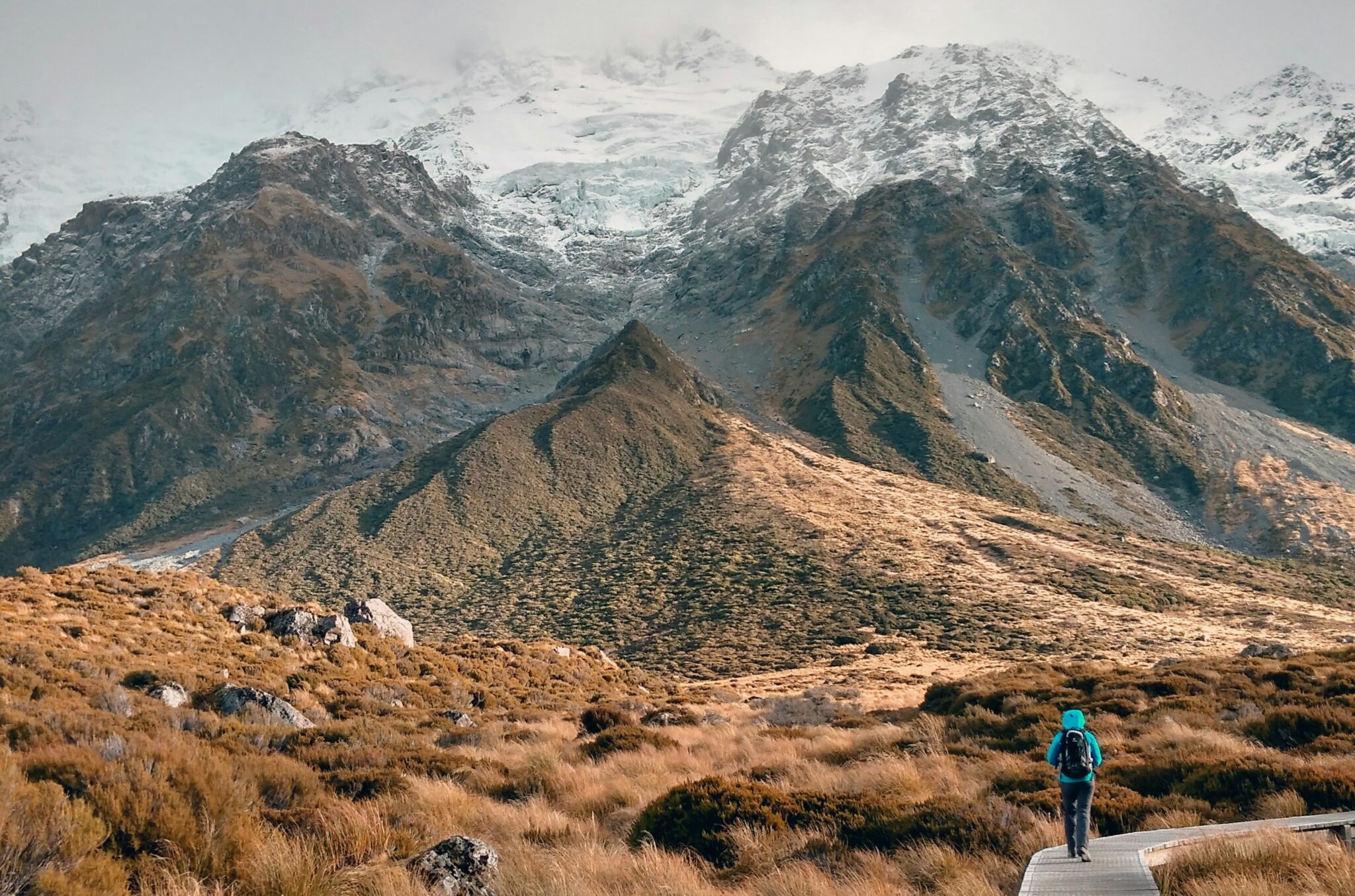 New Zealand Science Media Centre - Science Media Centre
