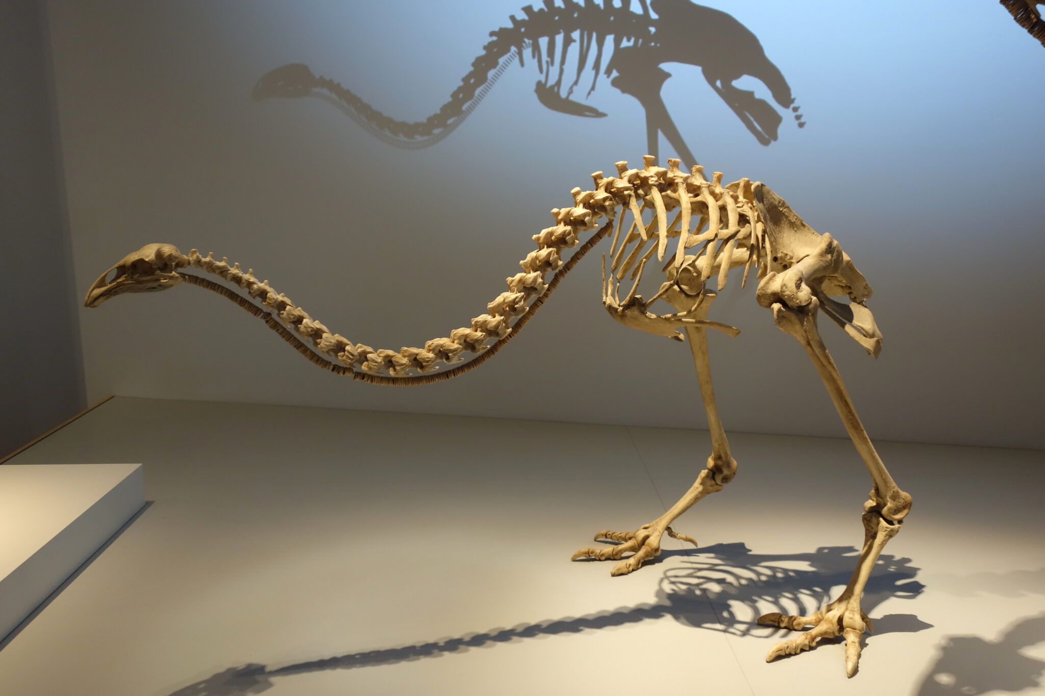 New Zealand Science Media Centre - Science Media Centre