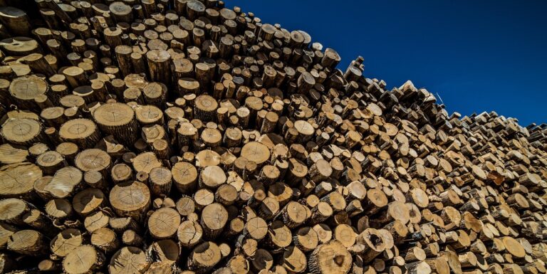 Slash and forestry management changes proposed - Expert Reaction ...