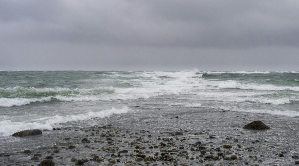 Huge swells forecast in Wellington - Expert Reaction - Science Media Centre
