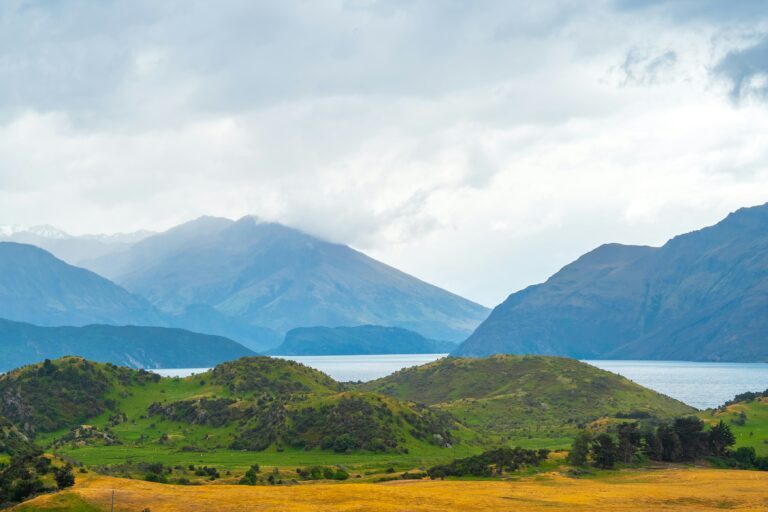 Public land up for sale under the Conservation Amendment Bill - Expert ...